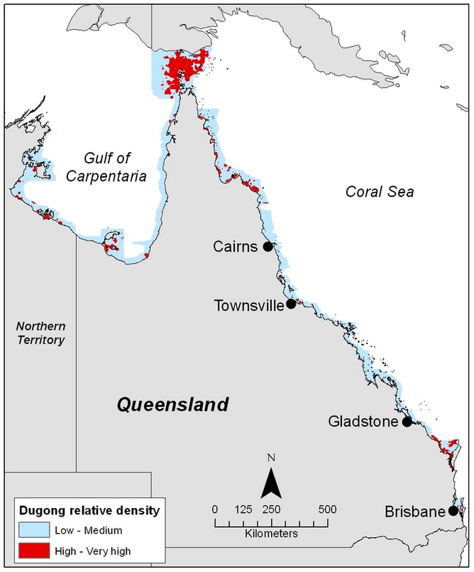wildsingapore news: Dugongs are safer in Torres Strait than Townsville