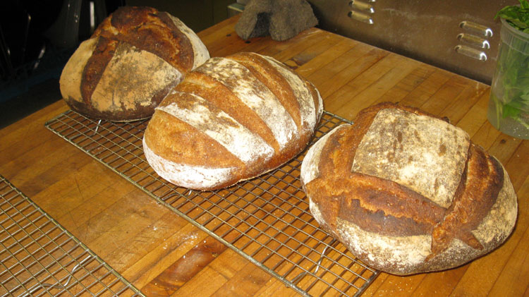 Canyon Creek Farms: Baking bread in a wood-fired oven, Round Two