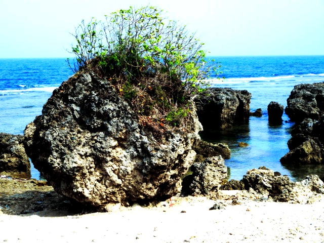 Be as Clear as the Water of Pangil Beach Resort in Currimao, Ilocos ...