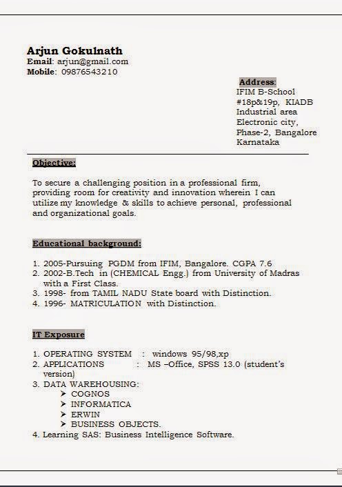 how to write professional cv