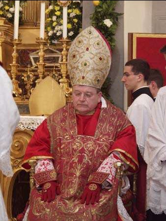 Bilgrimage: Not Forgetting Cardinal Burke as Philadelphia Story Unfolds ...