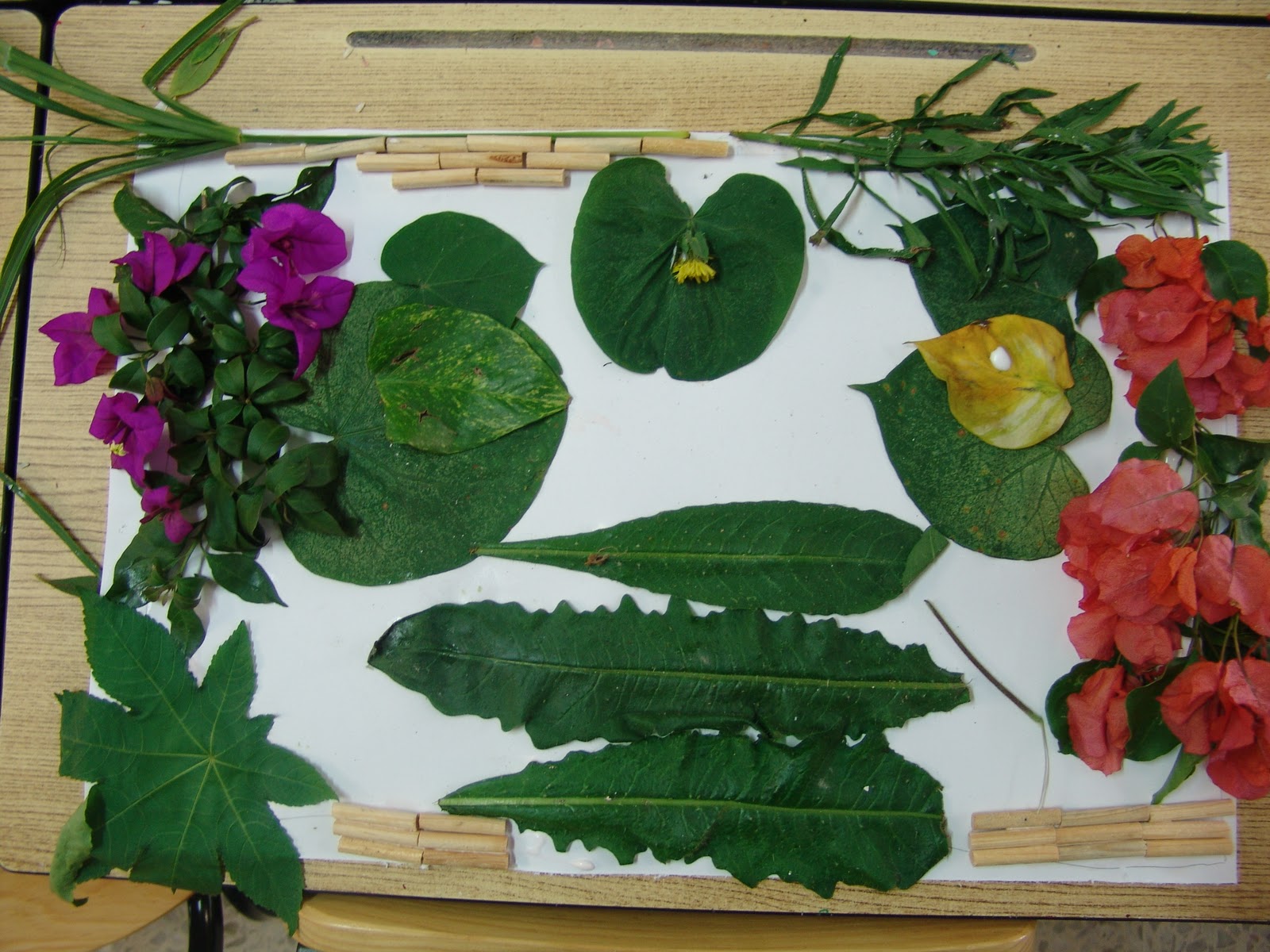 Taller de Artes Plásticas: Collage con elementos naturales.