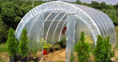 Tunnel farming - General Agriculture