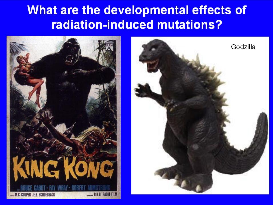 (OT) Effect of Radiation on Living Organisms from Nuclear Accidents in ...