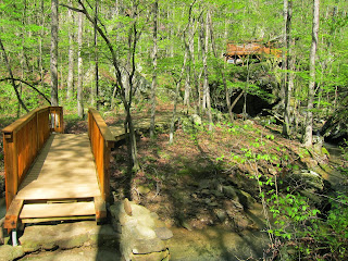 Expeditions by Tricia: LONGBOW RESORT EXPEDITION!