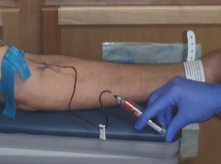 A Marrow Chronicle: Blood Tests and Transfusions