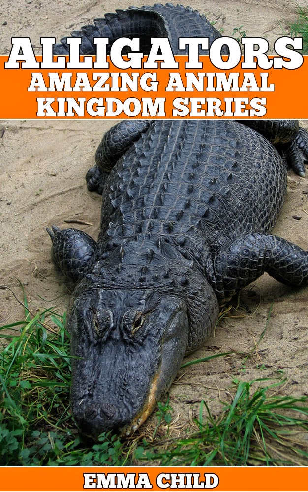 Children's Books: ALLIGATORS: Fun Facts and Amazing Photos of Animals ...