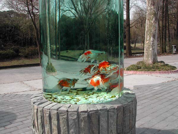 The Intrepid Tourist: Shanghai Zoo: Giant Pandas, Red Pandas, and More