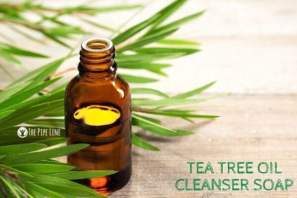Homemade Creamy Tea Tree Oil Facial Cleanser - SparingC