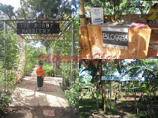 MommyGiay: Agri-Farm Tour in Batangas