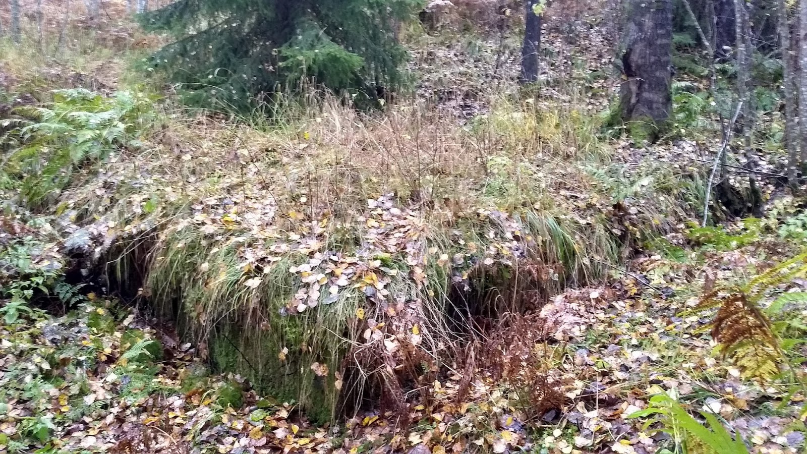 Skiing the Planet: Jorvas Bunkers