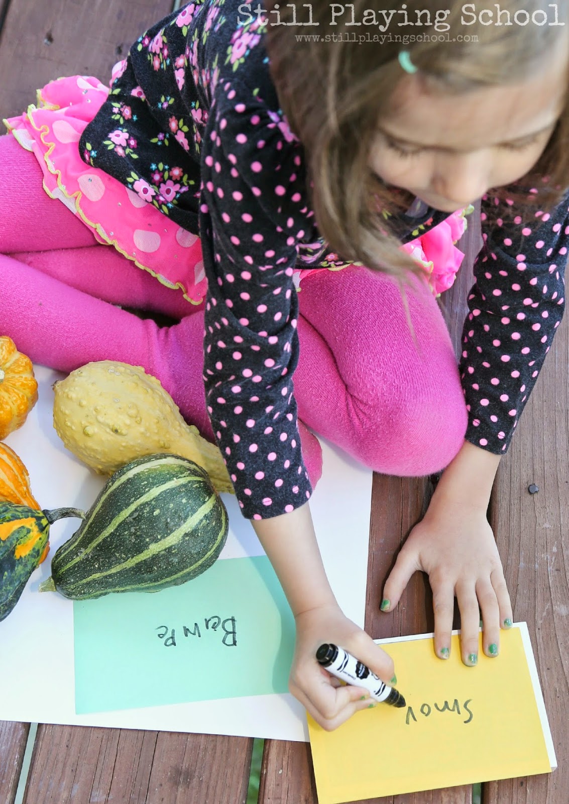 Learning with Gourds: Comparing, Sorting, and Labeling for Fall | Still ...