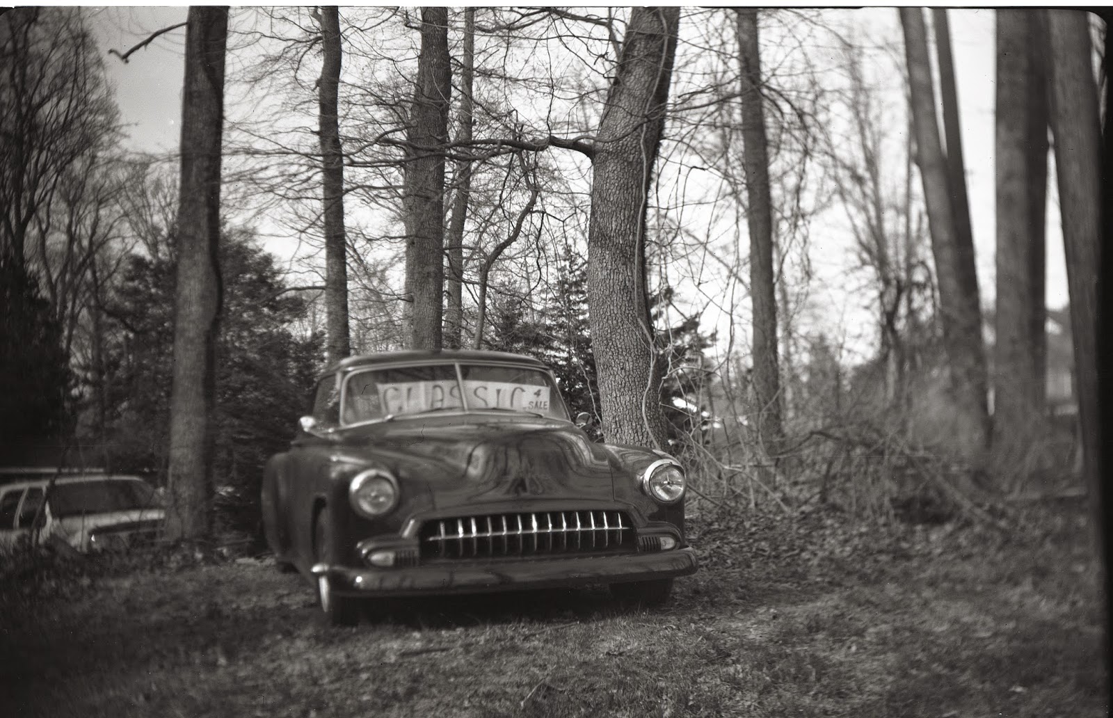 A Quirky Guy with a Camera: Fun with Film: Efke 50