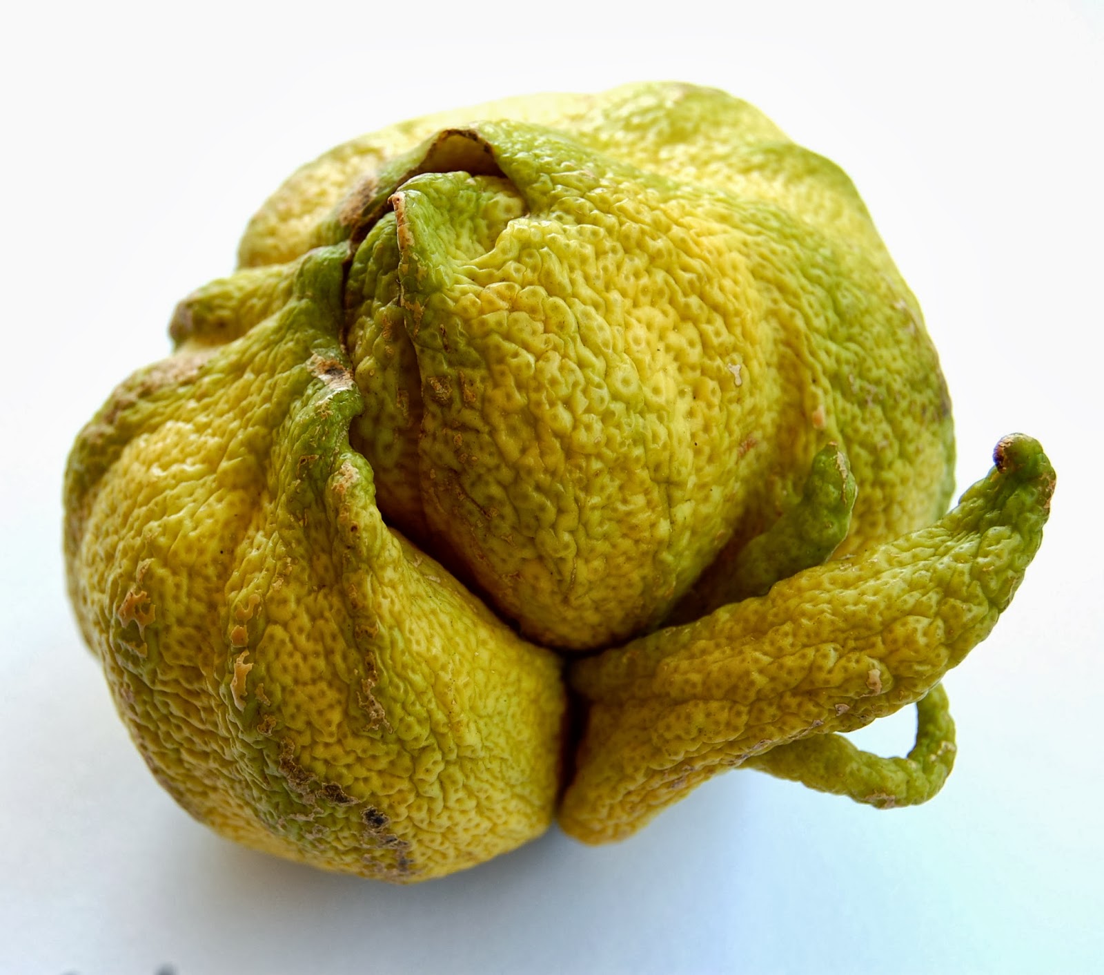 .weird.shaped.: december 2013