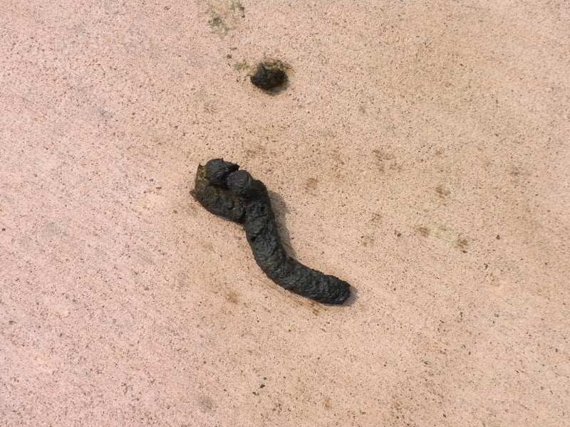 margaREEtaville: On the Ground, Photo Challenge