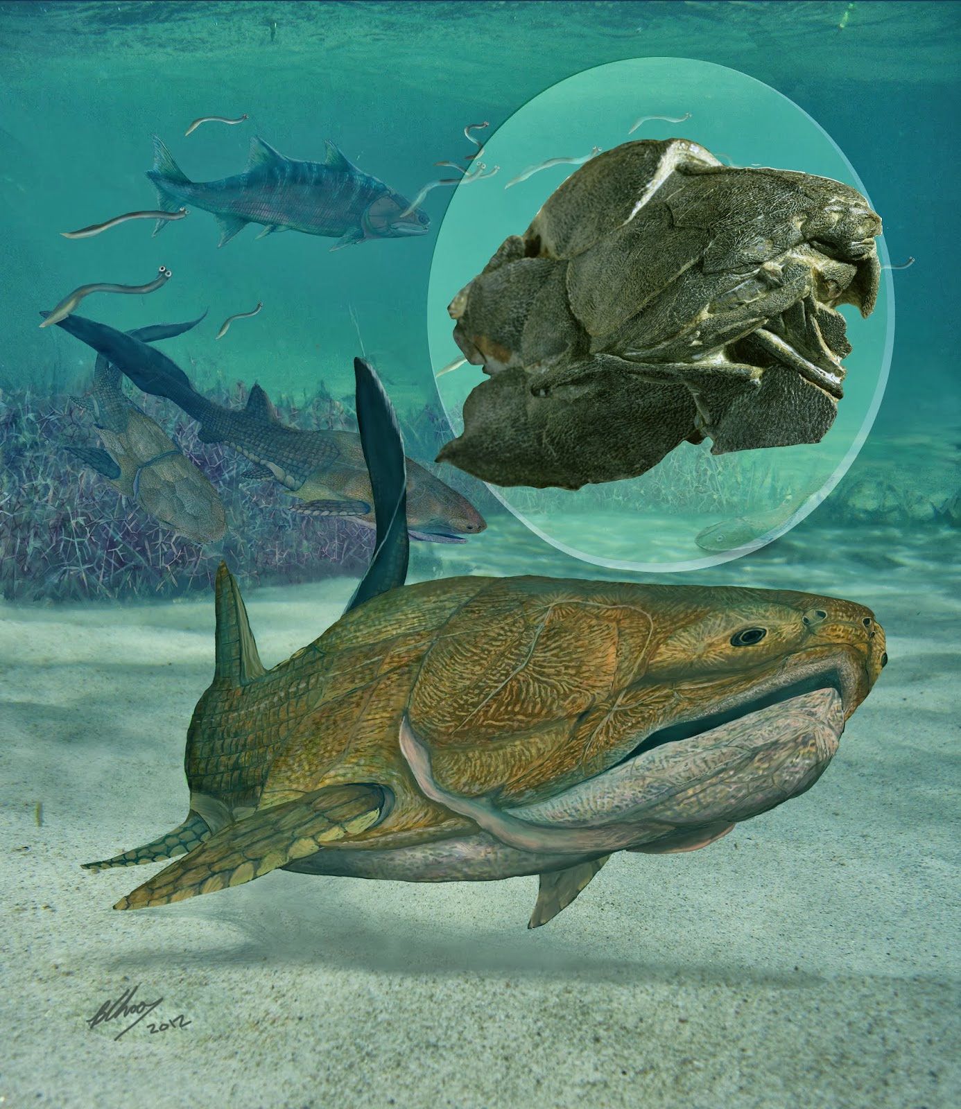 The Dragon's Tales: Entelgnathus primordialis: Earliest Known Jawed ...