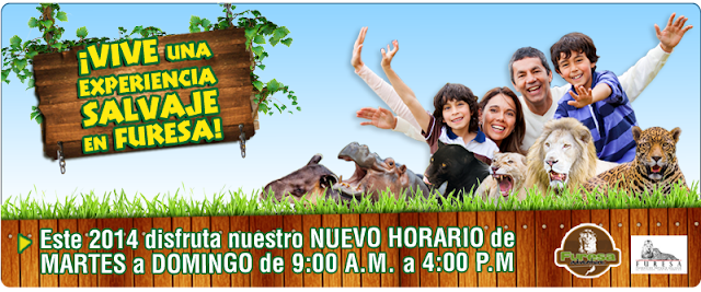 International activities turists: Visita FURESA en estas vacaciones.