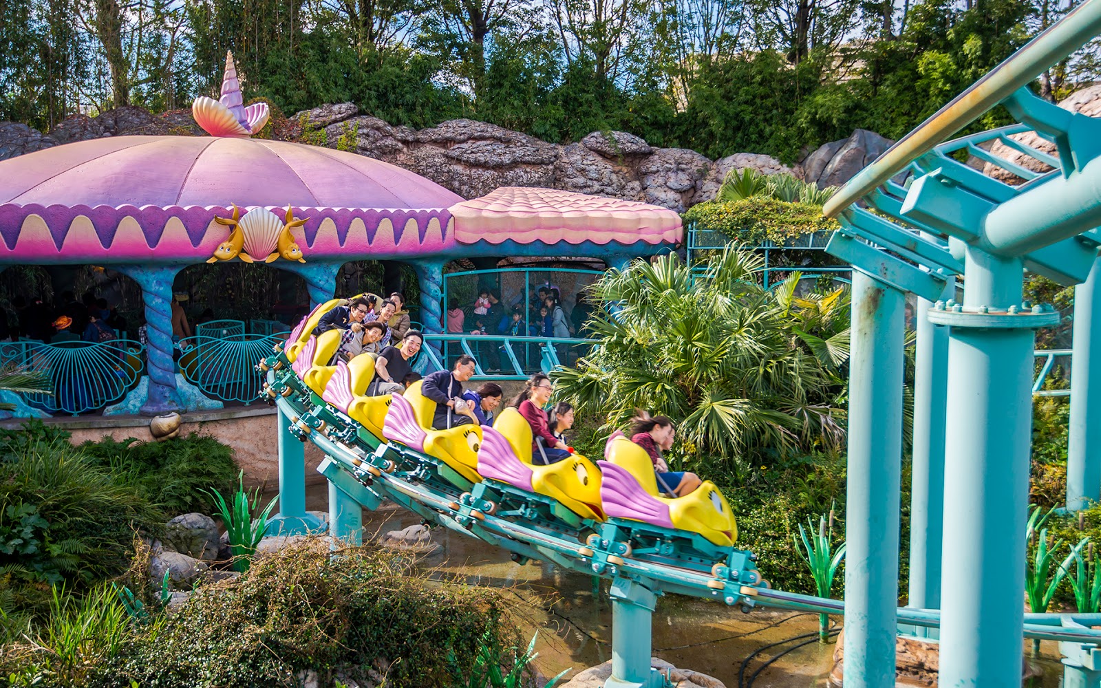 The Flying Fish Coaster