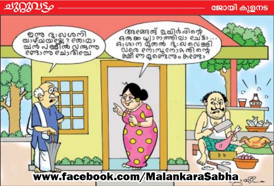 Kerala Pathaka: Cartoon by Joy Kulanada