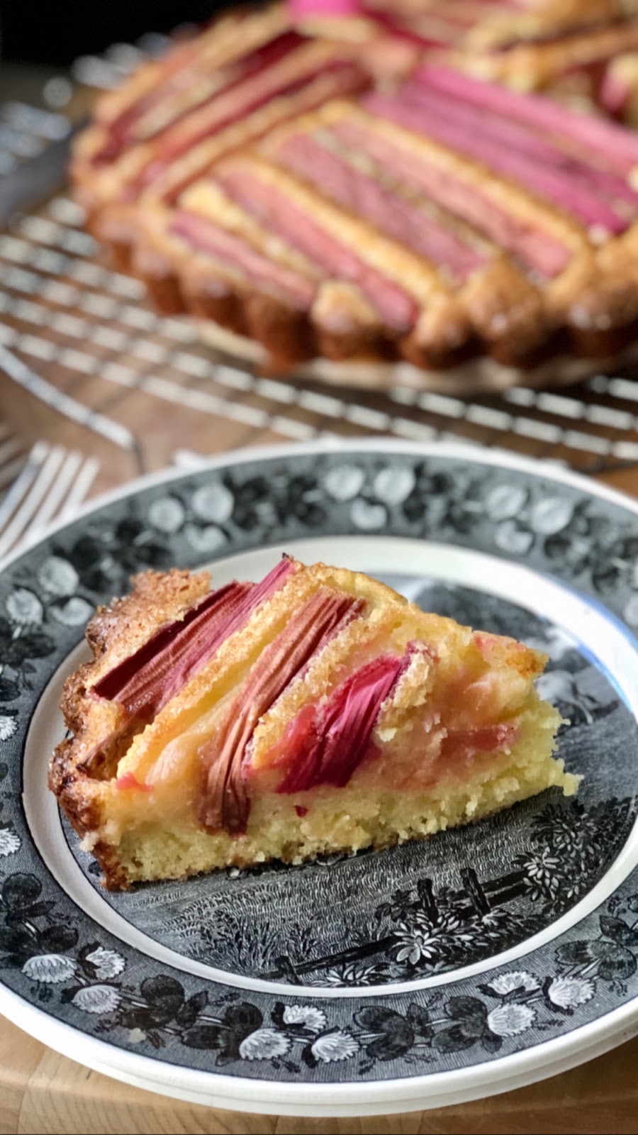 The BEST Rhubarb Custard Cake