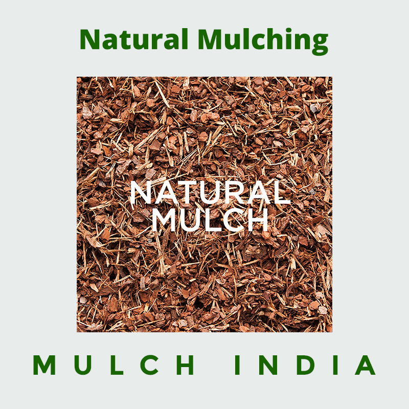 Mulch Meaning