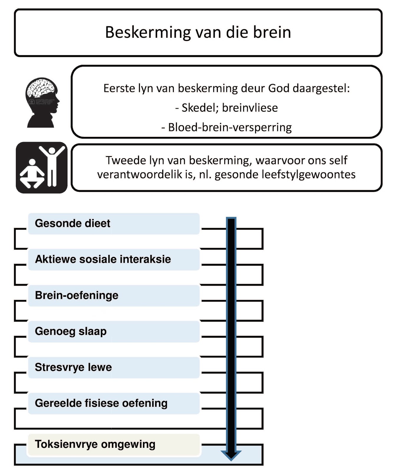 Brein + Lyf = Jy: BREIN GESONDHEID - Beskerming van die brein