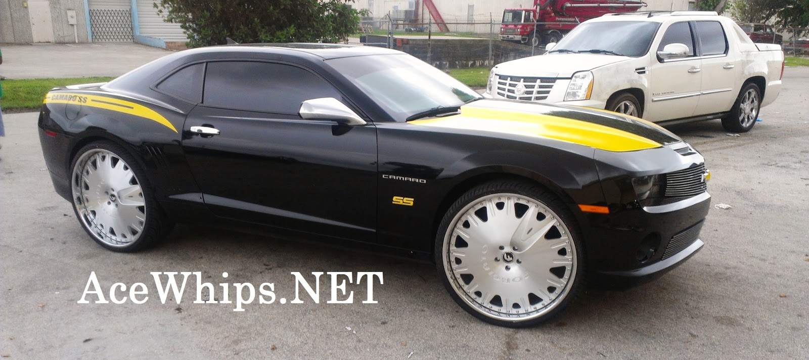 Ace-1: Whips at WTW Customs