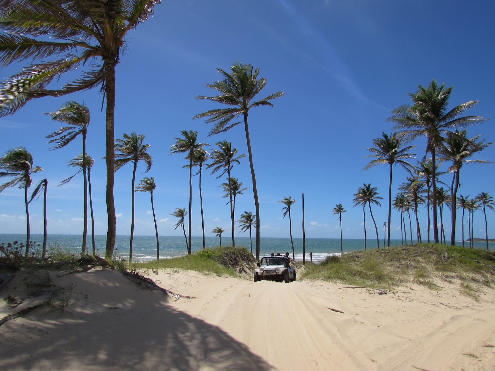 Tem que ir: O que fazer em Fortaleza - Passeio a praia de Lagoinha ...