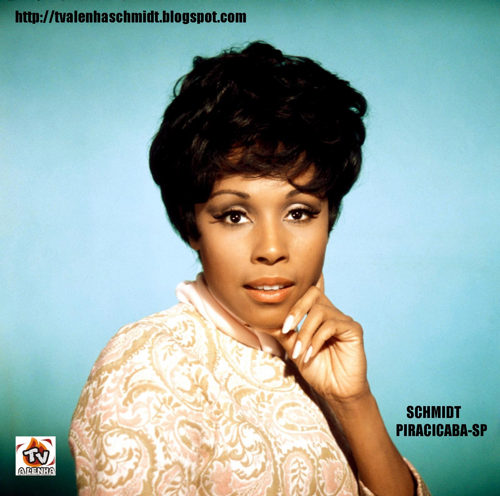 TV A LENHA E O VIAJANTE DO TEMPO: SÉRIE CLÁSSICA DA TV (CLASSIC TV ...