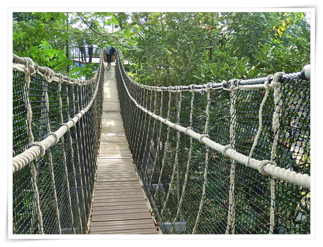 Mike's Cornwall: A Flavour Of Cornwall's Eden Project: 15 Photos