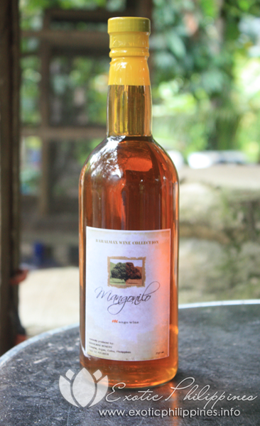 Bahal Max - No Worry, No Hangover