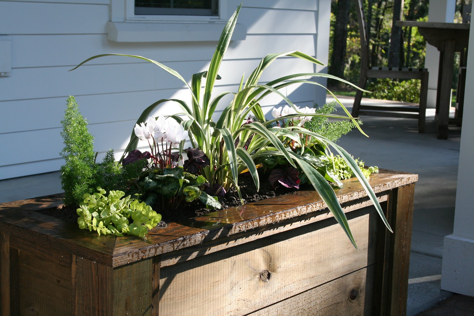 The Lowcountry Lady: Fall Winter Front Porch Flower Boxes