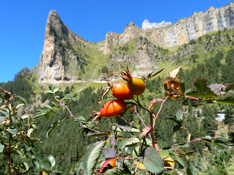 PASOS: Ordesa, Faja Racón. 19 de septiembre