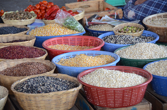 UBICACIÓN, SITUACIÓN SOCIAL Y ECONÓMICA DE LAS ETNIAS: "TOLUPÁN ...