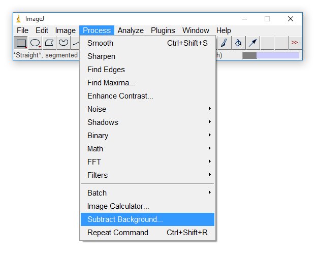 My imageJ: Subtract Background เพื่อการปรับค่าพื้นหลังในการประมวลผลภาพ