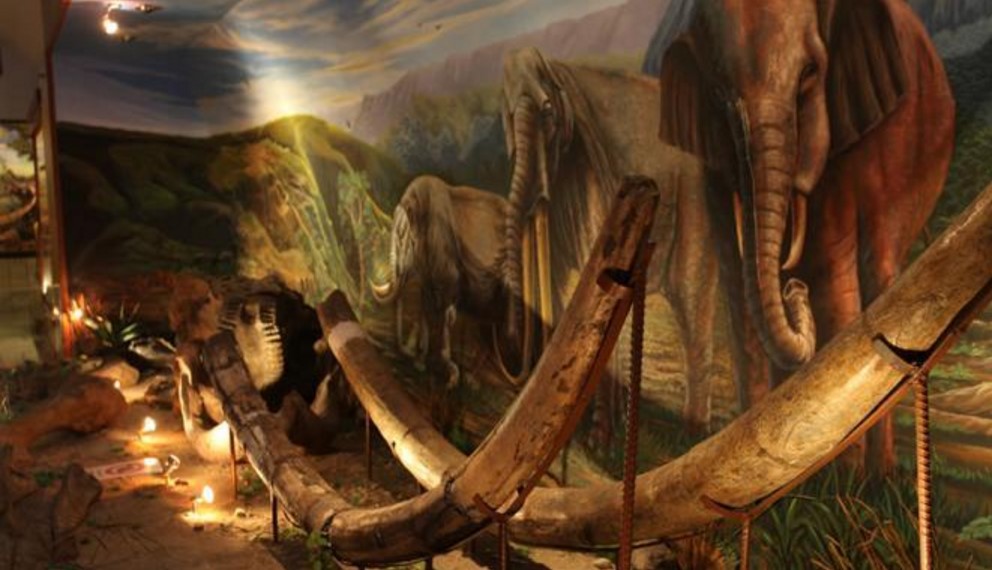 Sangiran Archaeological Museum, Sragen - Surakarta Travel Guide