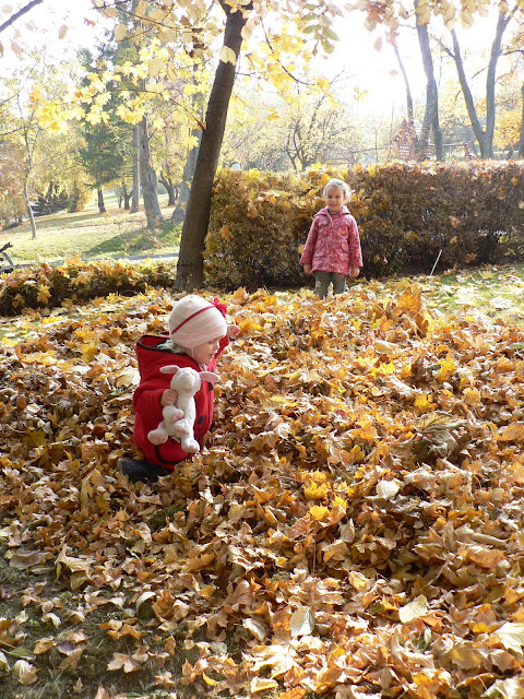 Mama Pea Pod: {Outdoor Play Party: More Fall Leaf Play}