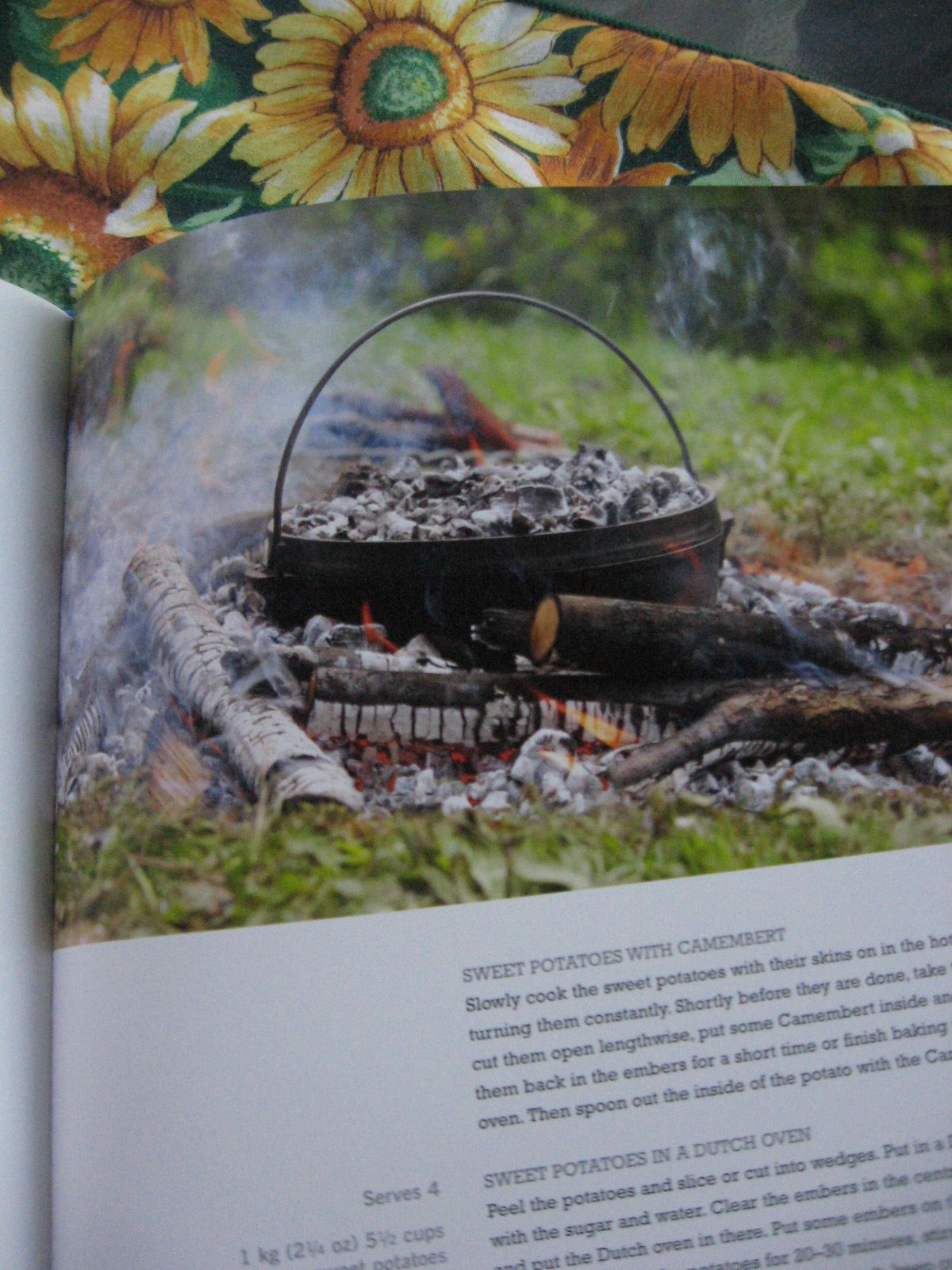 Barbecue Master: Cook Wild - Getting Creative with Food and Fire - Book ...