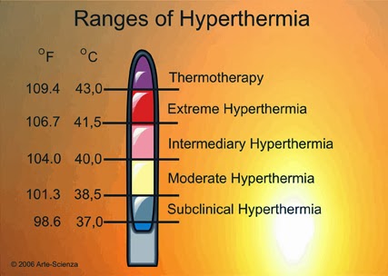 Emagrecer com Saúde: Hipertermia na atividade física e emagrecimento