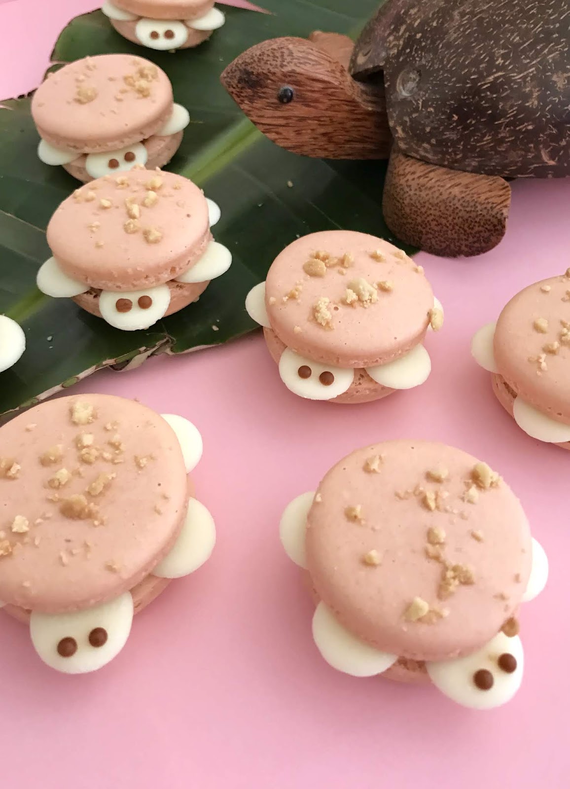 Nutty Turtle Macarons