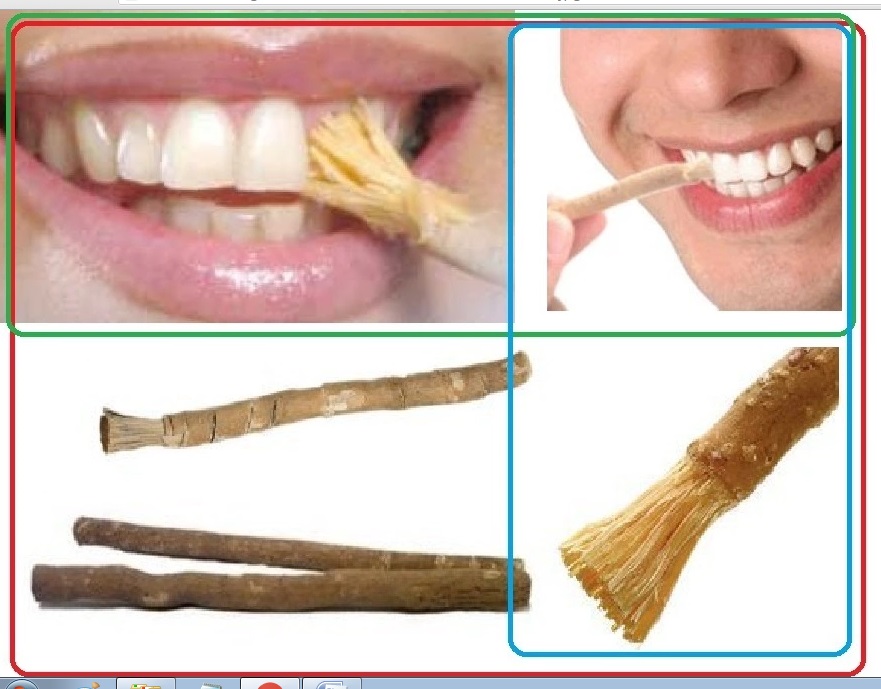 Siwak Waktu yang disunatkan untuk bersiwak dan cara penggunaannya ...