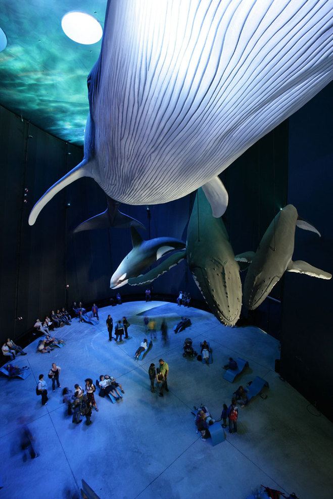 Vivo Arquitectura: Ozeaneum, por Behnisch Architekten