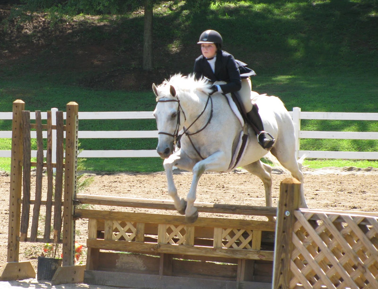 Girls and Thier Horses: Horse Show Jumping