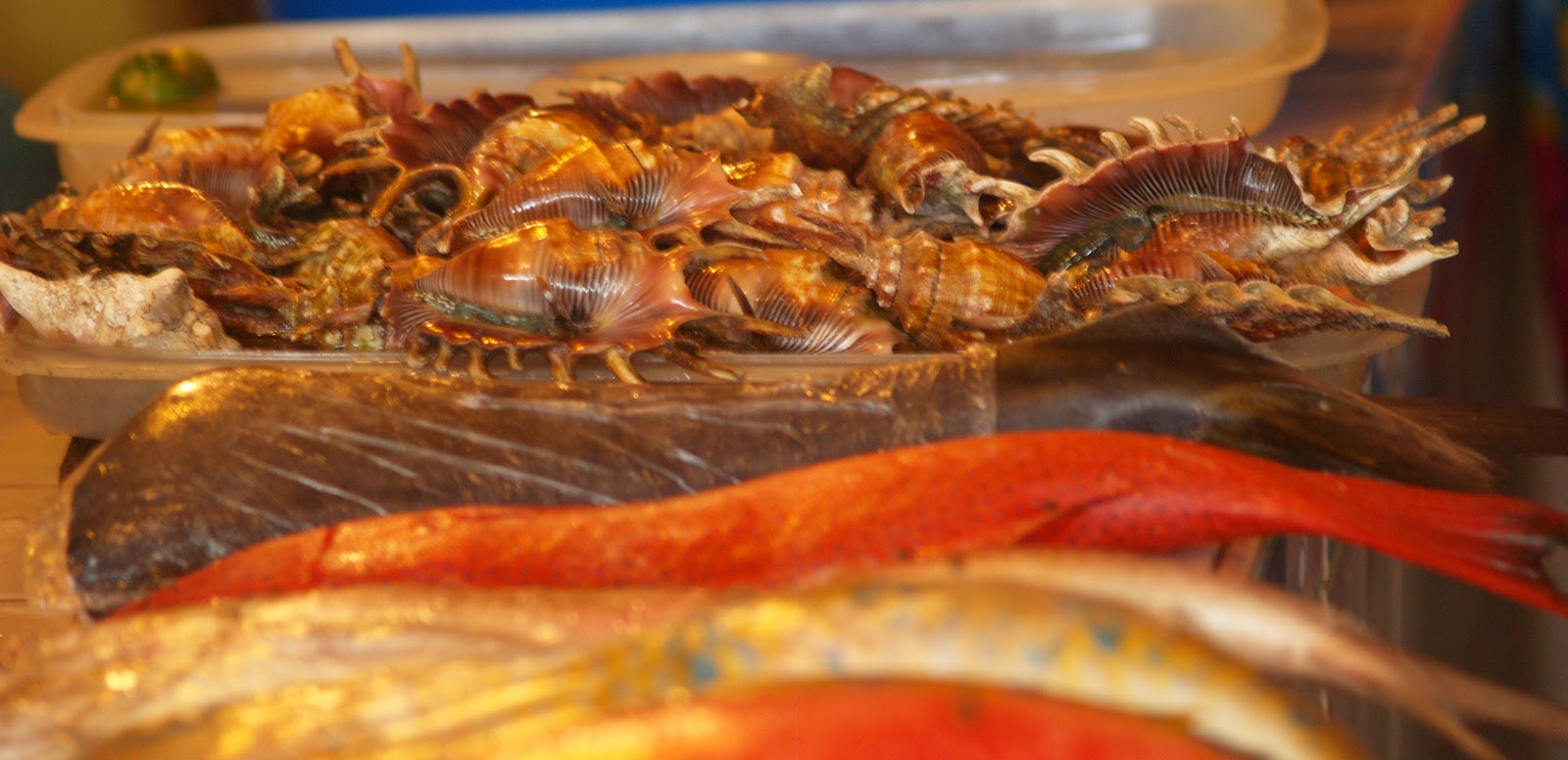 LOGSAC: Concealing wonders of Cebu City and its nearby towns