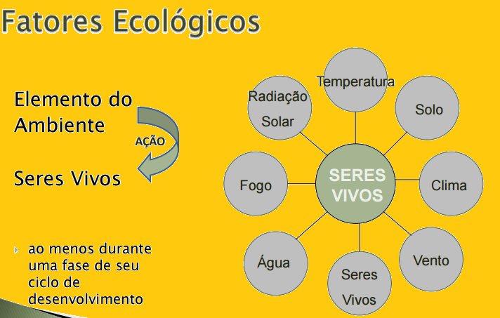 BIBOCA AMBIENTAL : FATORES ECOLÓGICOS