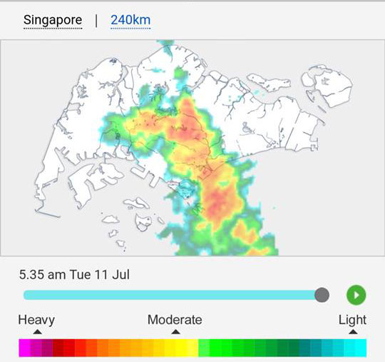 wild shores of singapore: Surveying East Coast shores after the rain