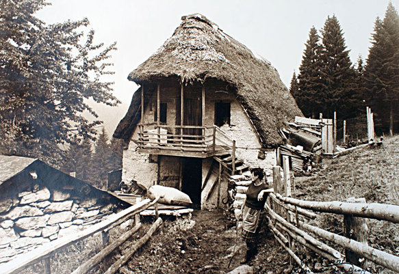 L'ARCHITETTURA DEI CASONI. Colpo di fantasia o eredità culturale?