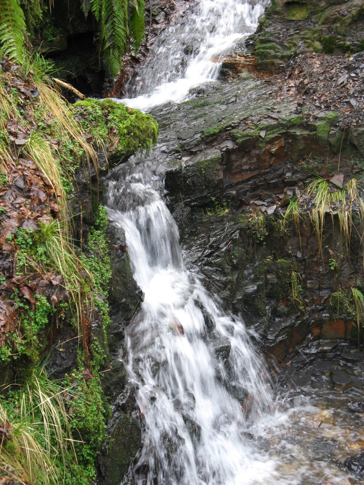 Naturally Beautiful: Scenic Sundays - The Woodland Waterfalls of ...