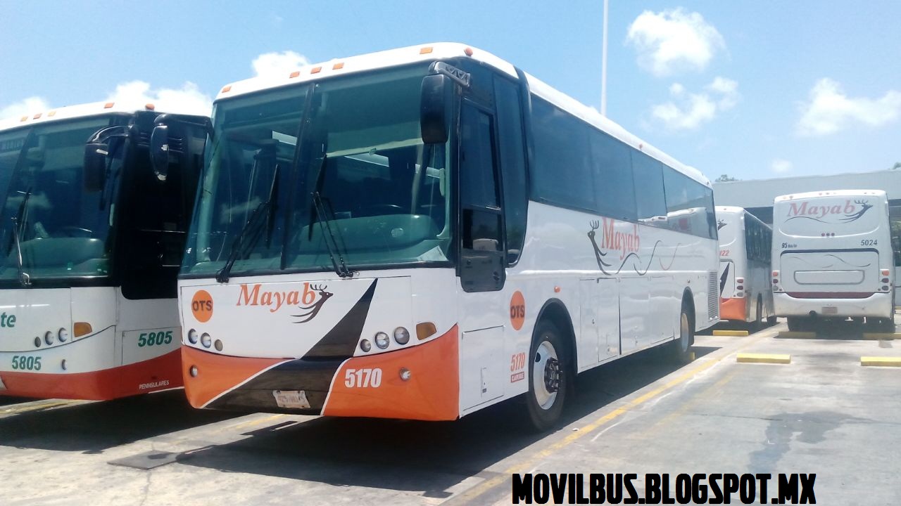 BUSSCAR EL BUSS 340 MAYAB