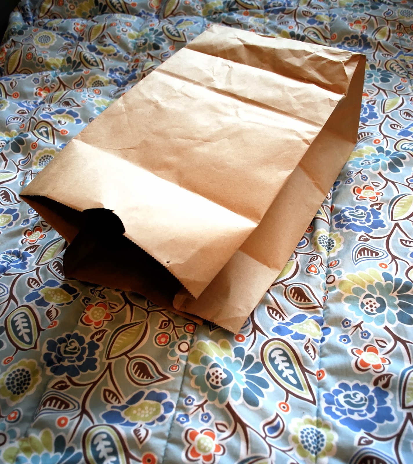 The Secret of Flight:: Paper Moose Tutorial!!